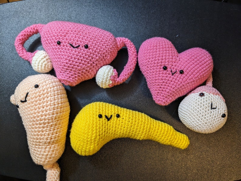 Handcrafted Crocheted and Stuffed Internal Organs Amigurumi - Etsy