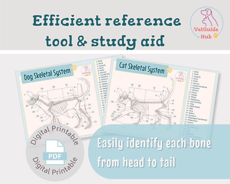 Quick Reference Skeletal Anatomy Guide for Cats and Dogs - for Vet ...