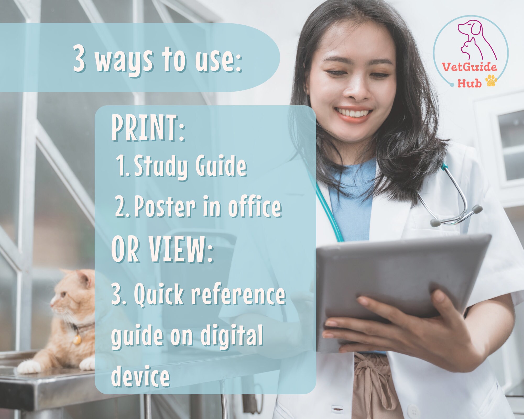 Vet Med Directional Anatomy Chart, Veterinary Anatomy Study Guide | Vet ...