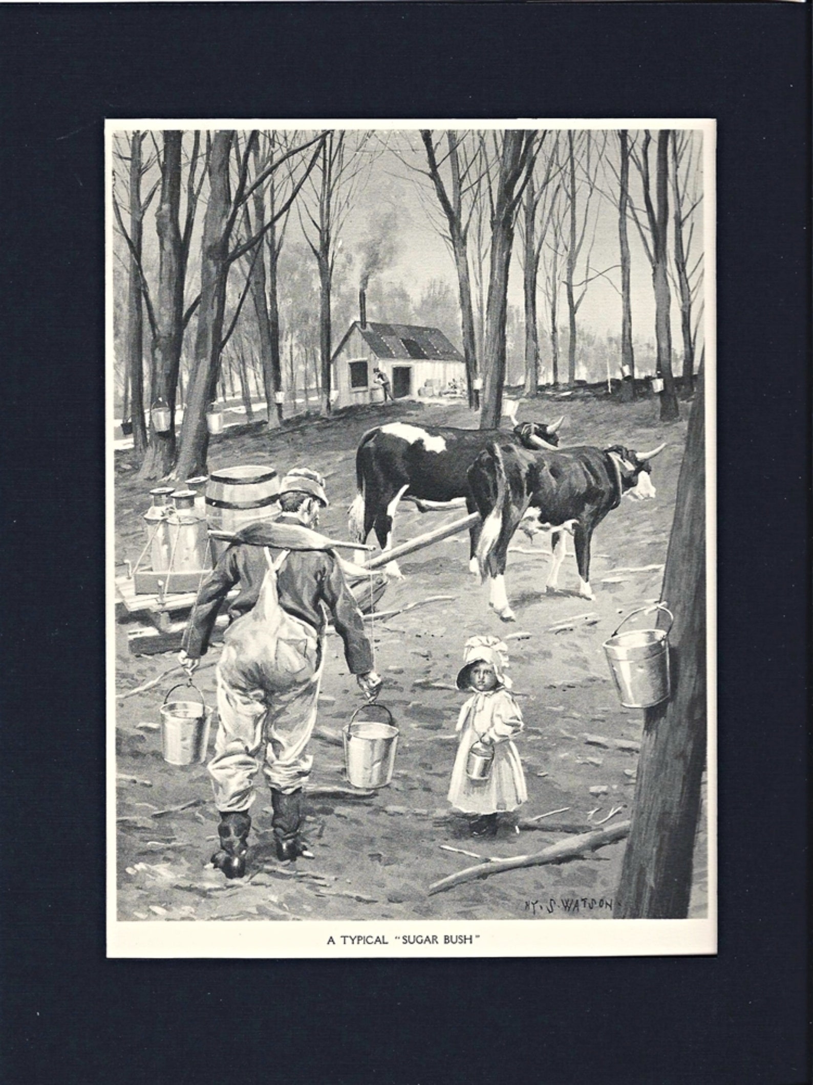 Antique 1906 Henry Sumner (hy) Watson Print A TYPICAL "sugar Bush" From ...