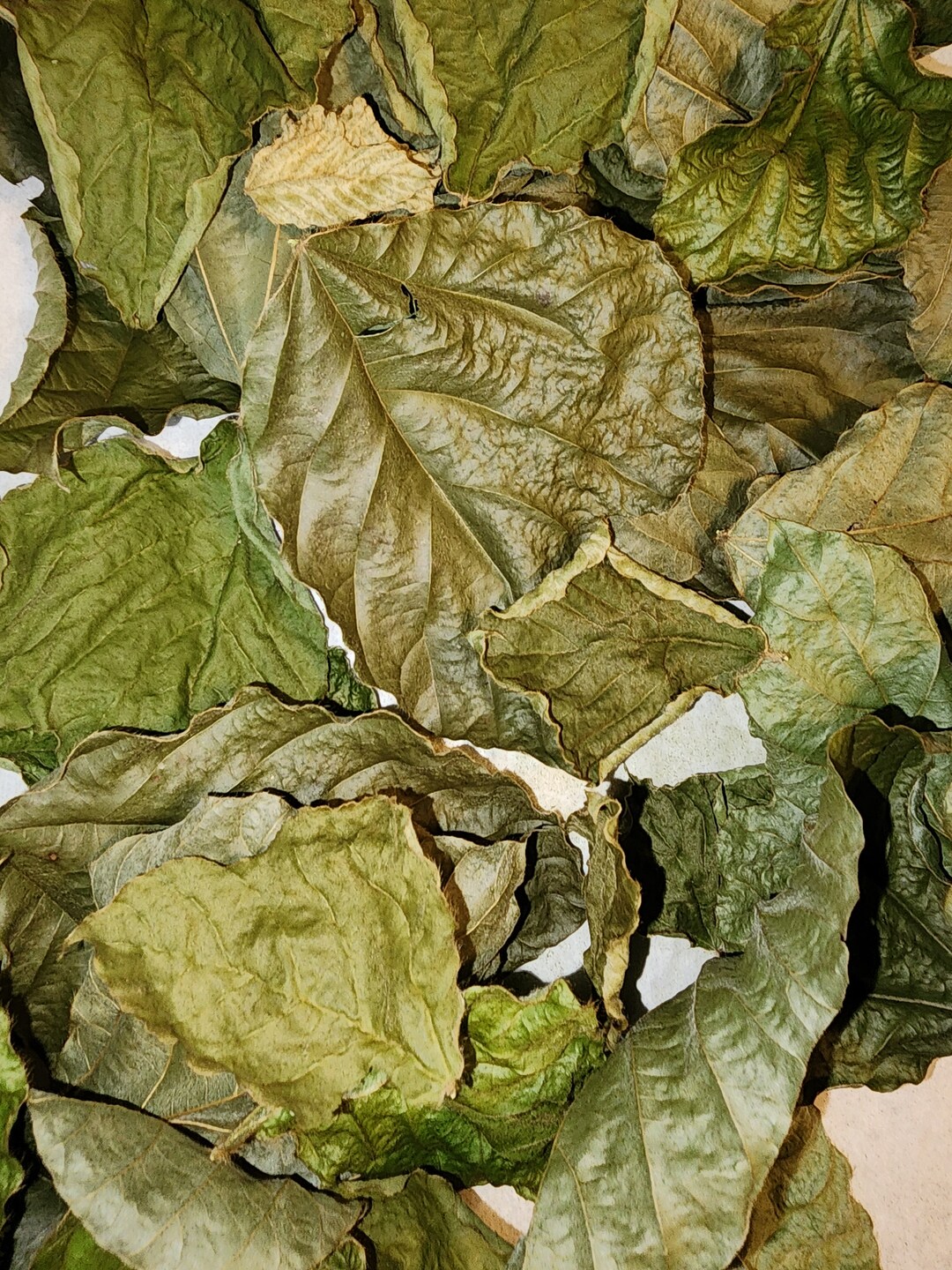 Kudzu Chips Small Animal Treats - Etsy