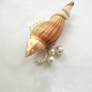 Ocean-themed Natural Seashell Hair Accessories Featuring Starfish and ...