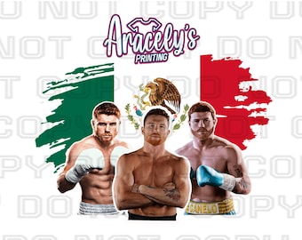 Canelo Alvarez, Canelo Mexican Flag, Canelo Alvarez Mexicano, PNG ...