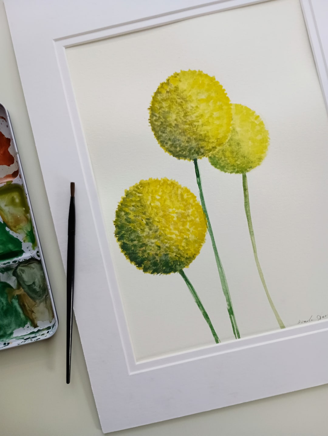 Original Billy Button Flower Watercolor Painting Original Watercolor ...