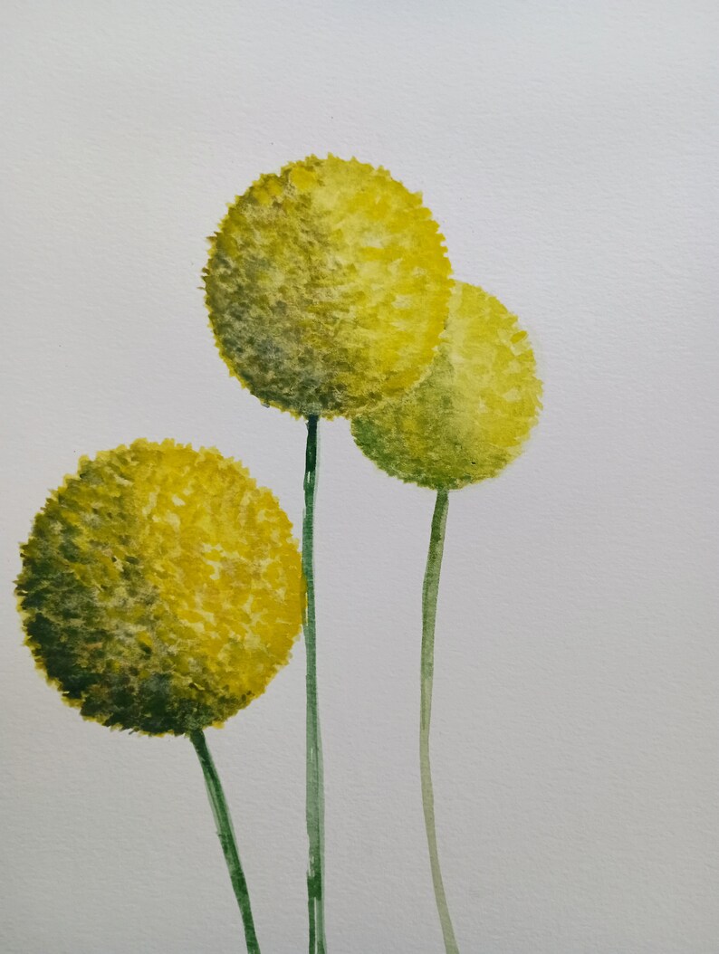Original Billy Button Flower Watercolor Painting Original Watercolor ...