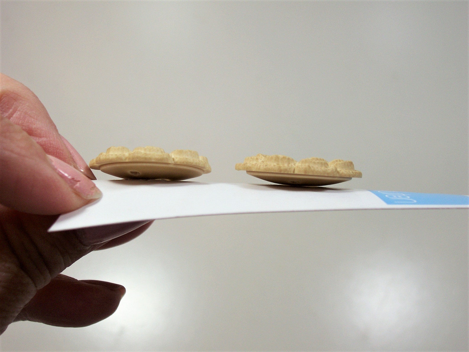 Tan Flower Buttons Tan Button X 2 Pieces Plastic Button 2 | Etsy