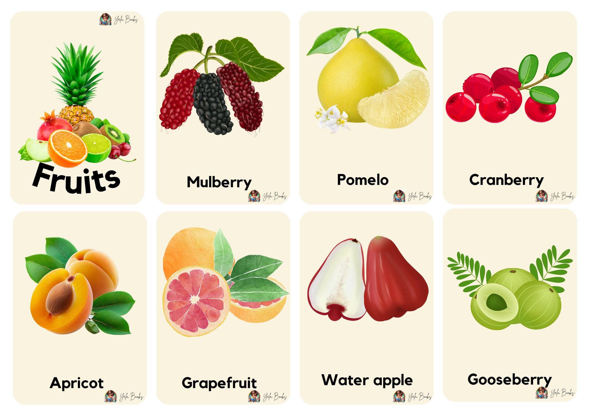 47 Colourful Fruits Flash Cards PDF (digital Product) - Etsy