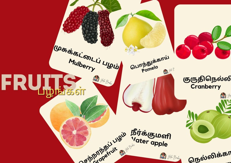 47 English and Tamil Fruits Names Flash Cards PDF Format/ Digital ...