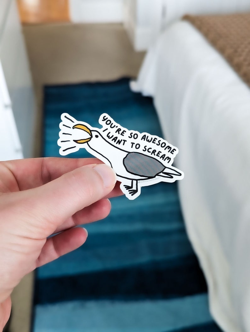 Supportive Seagull Thinks you're so Awesome I Want to Scream Cute ...