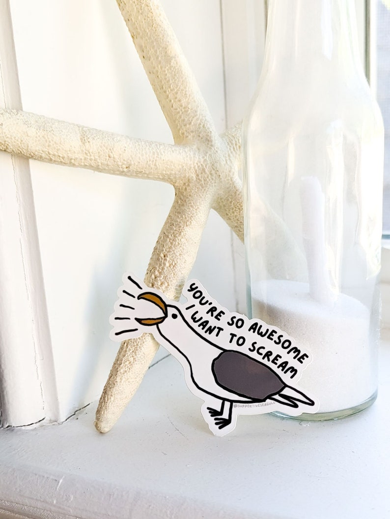 Supportive Seagull Thinks you're so Awesome I Want to Scream Cute ...