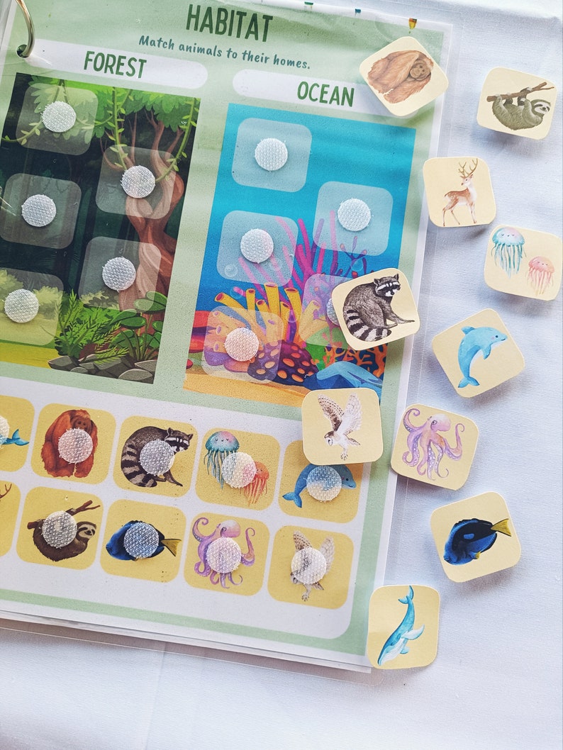 Animal Habitat Worksheet primary Science - Etsy