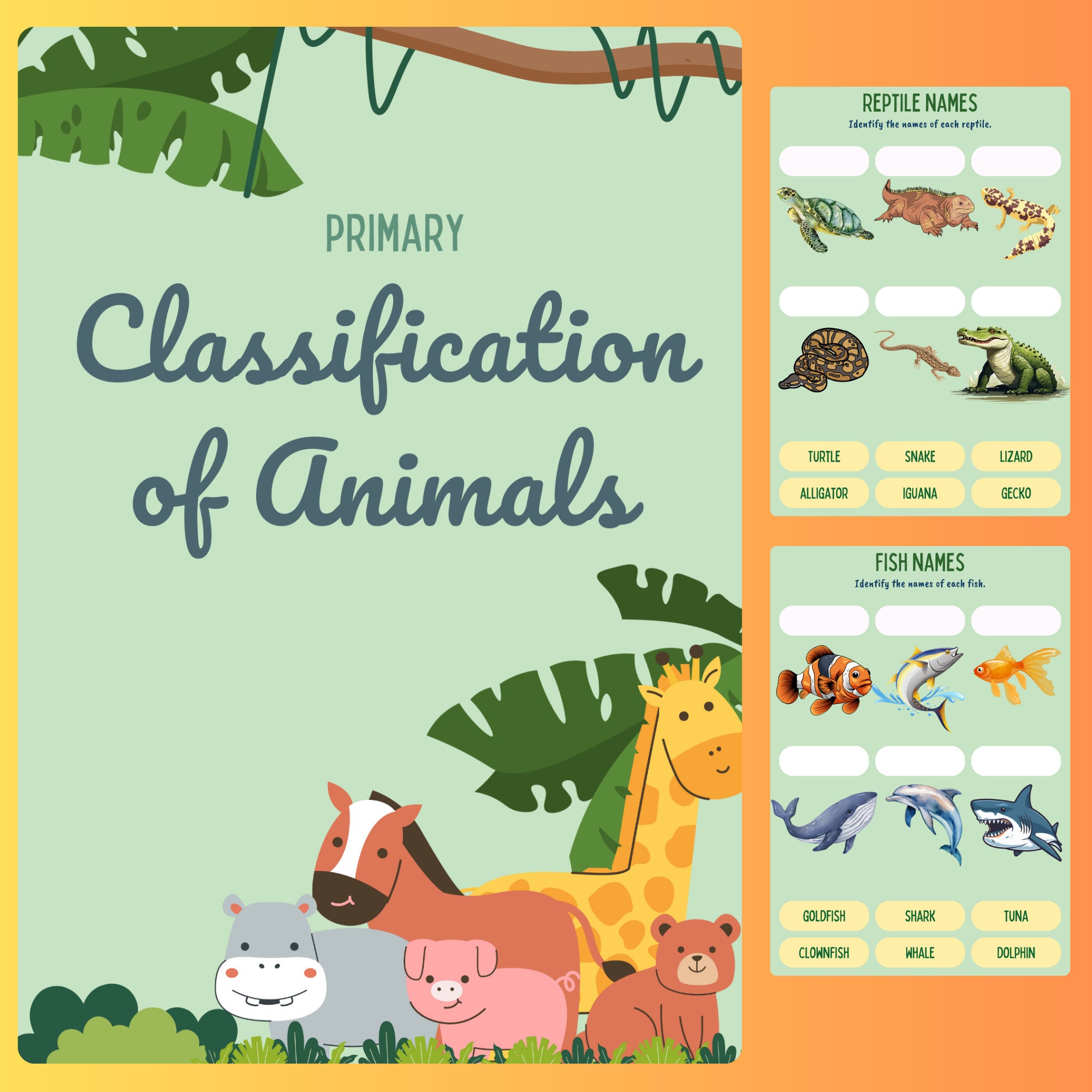 Classification of Animals Worksheet primary Science - Etsy