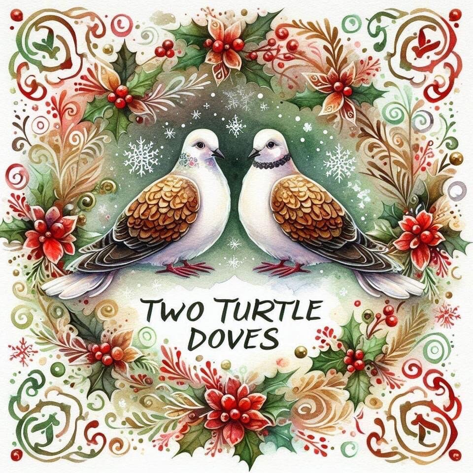 2 Turtle Doves - Etsy UK