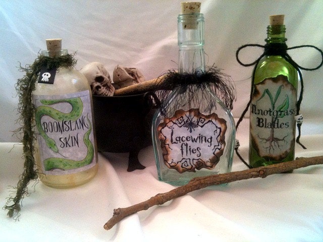 Boomslang Skin Lacewing Flies