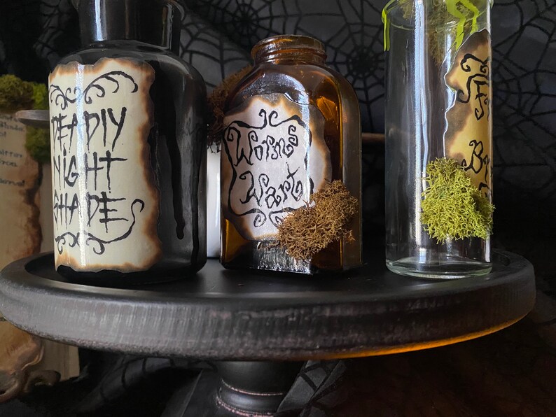 Nightmare Before Christmas Sally Potion Poison Bottles and - Etsy
