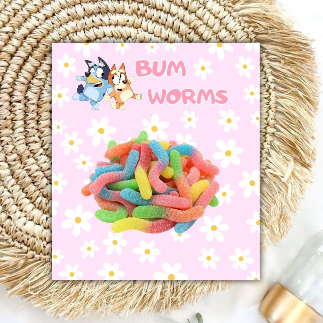 Bum Worms Bluey Party Favors for Girl Party Blue Dog Theme Girls ...