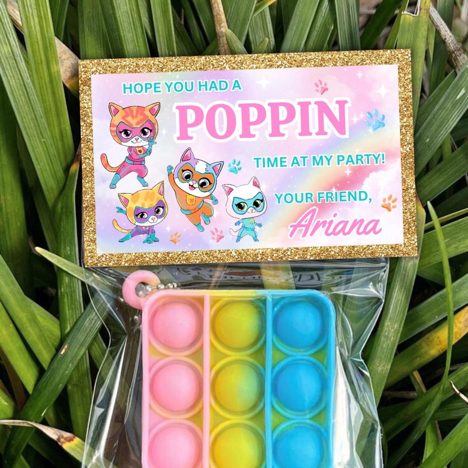 Super Kitties Poppin Tag Party Kitty Cat Pop Fidgety Tag Bag Party ...