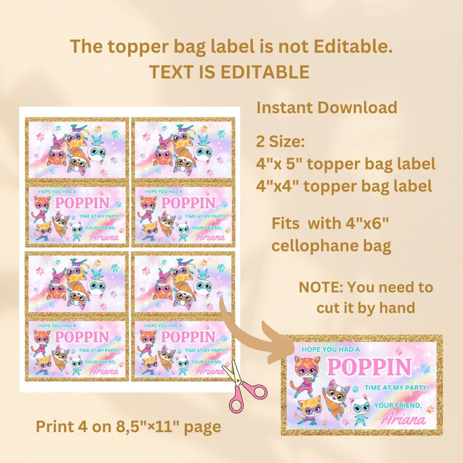 Super Kitties Poppin Tag Party Kitty Cat Pop Fidgety Tag Bag Party ...