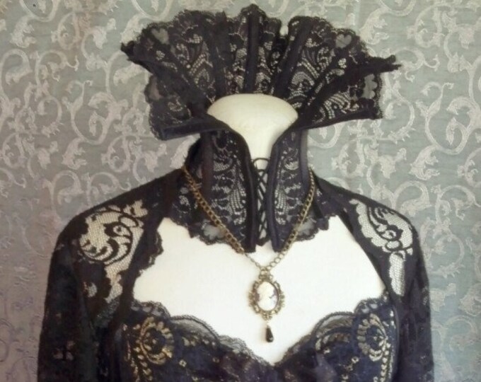 Dramatic Victorian Steampunk Gothic Vampire Black Lace Neck Corset ...
