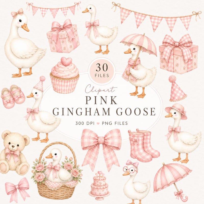 Gingham Goose Outfit - Etsy