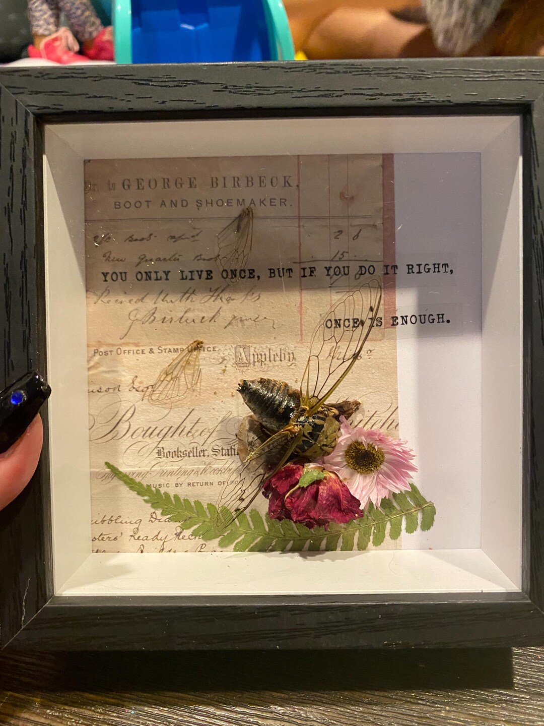 Real Locust Framed - Etsy