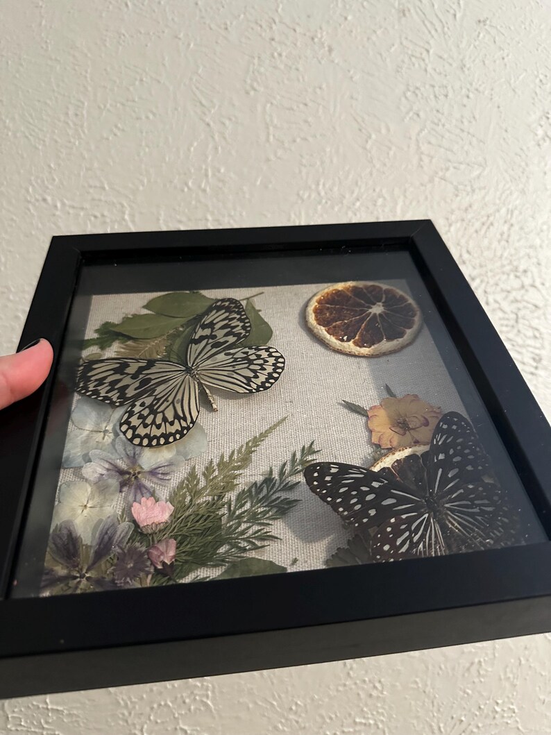 Butterfly Shadow Box - Etsy