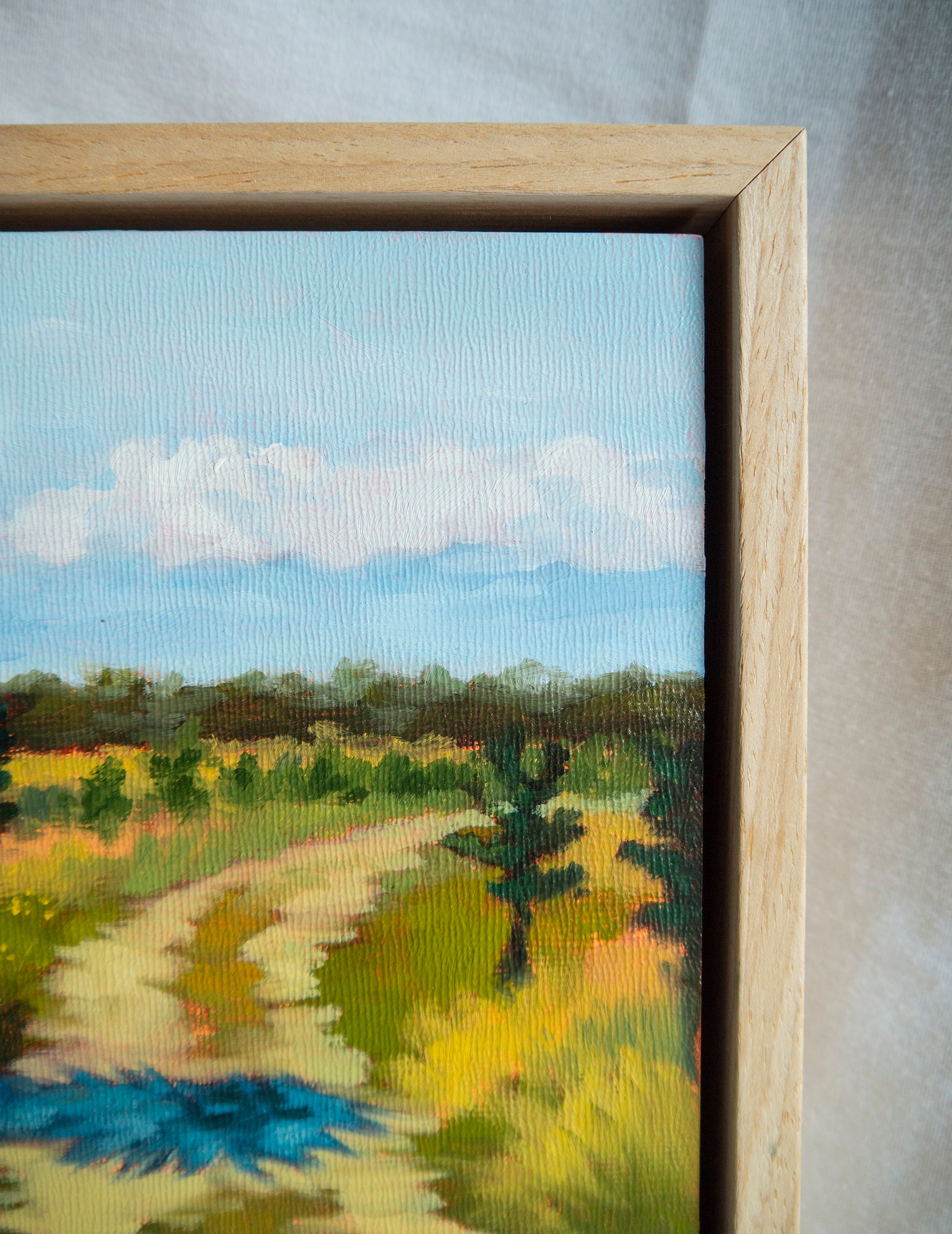 Perico Preserve Trail Original Pintura de paisaje de aceite - Etsy España