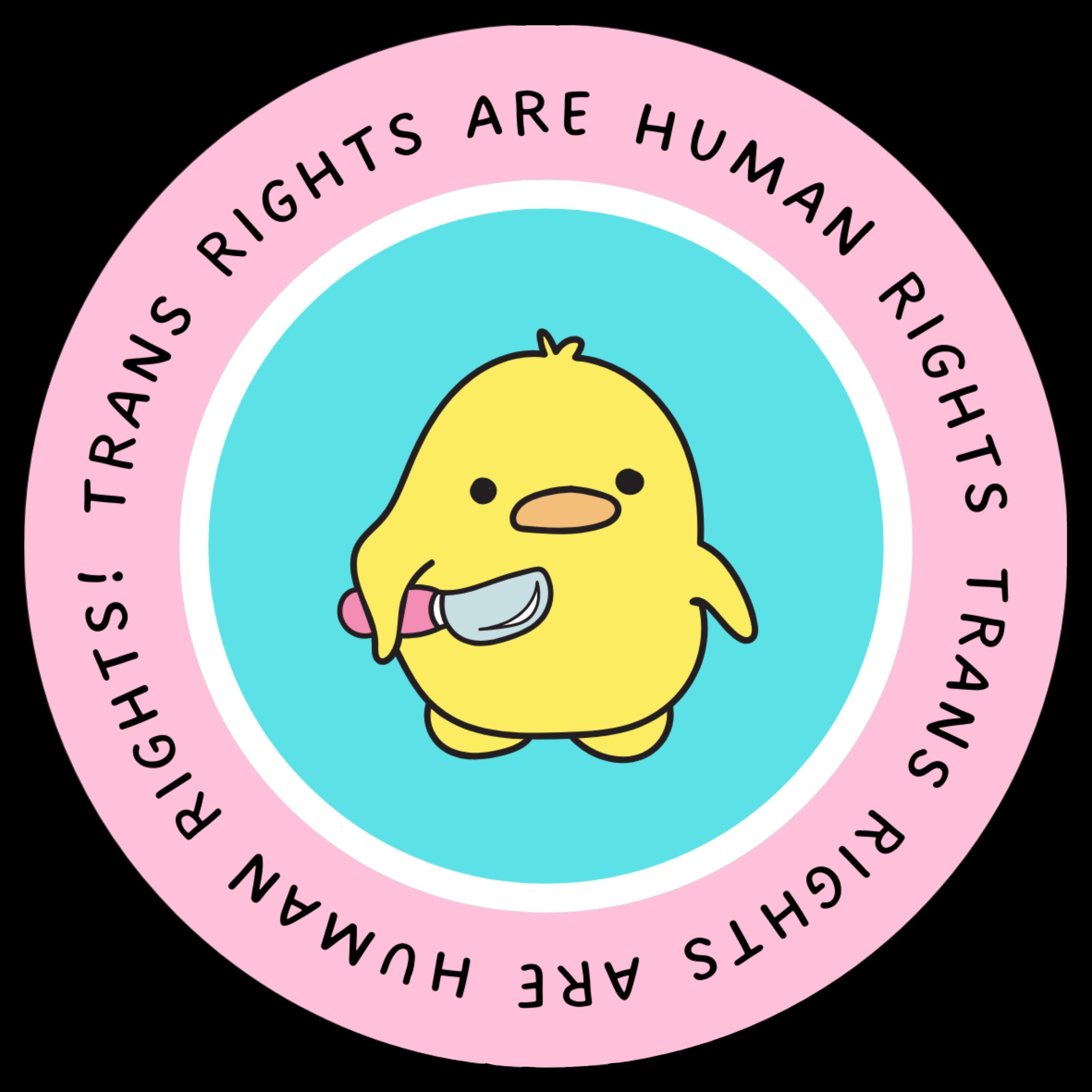 PRINTABLE Trans Rights Are Human Rights - Etsy
