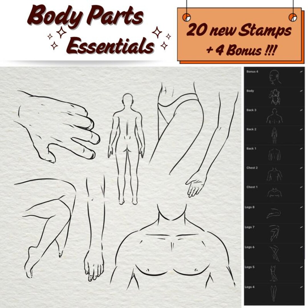 Body Parts Essentials Procreate Stamps for Creators. Character Design ...