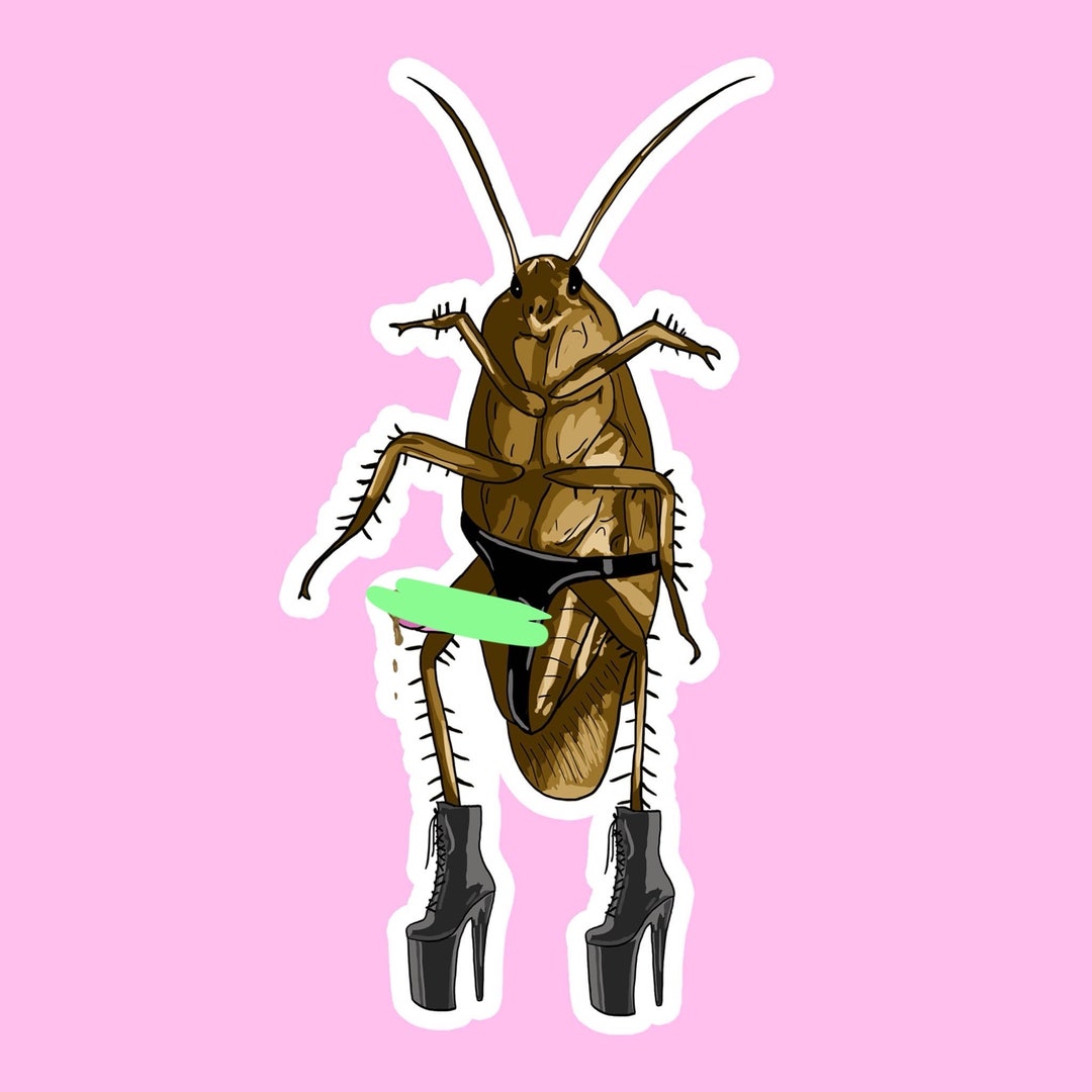 Bend Over Cockroach XL STICKER Die Cut Vinyl Sticker Weird Sticker Art Sticker Funny Sticker ...