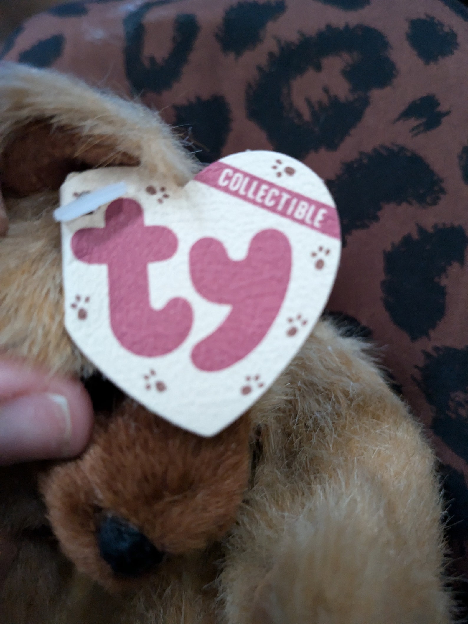 Cody From Ty Attic Treasure Collection - Etsy