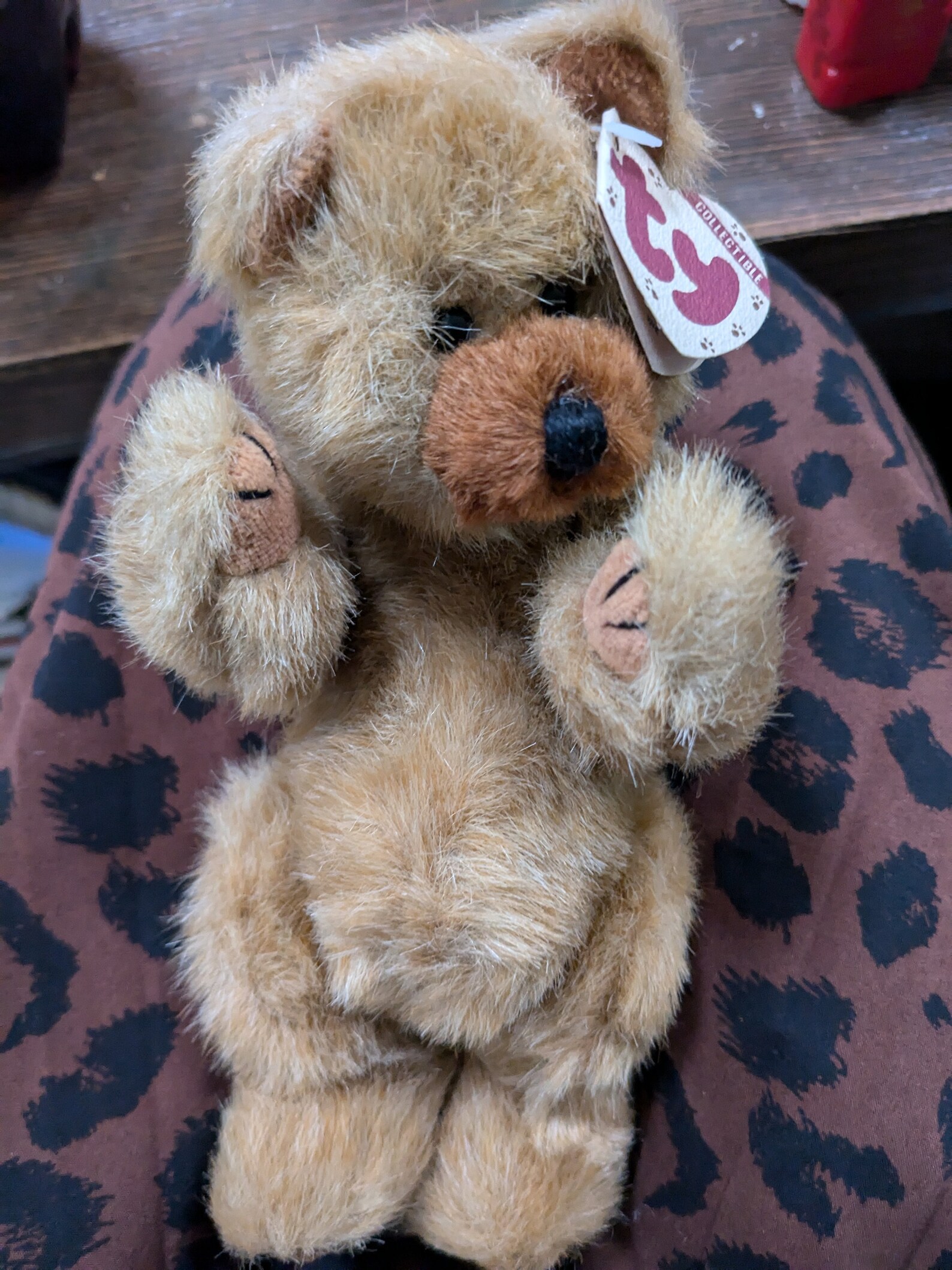 Cody From Ty Attic Treasure Collection - Etsy