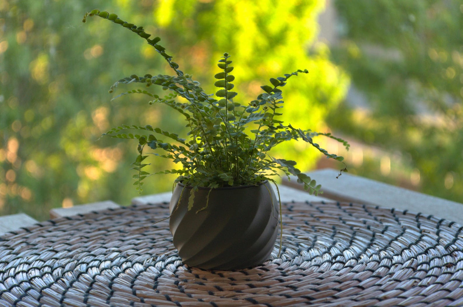 Luna - Modern Rounded Planter, Plant Pot, Swirled Elegant Design ...