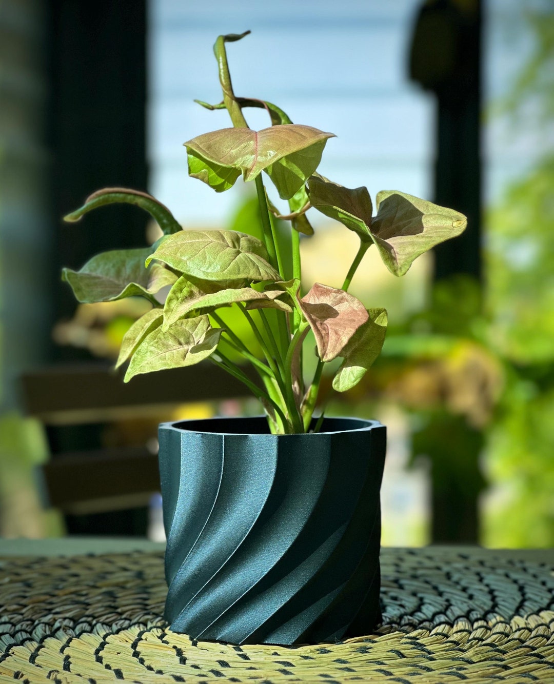 Swirl Plant Pot: Modern Spiral Design, Eco-friendly PLA Planter - Etsy UK