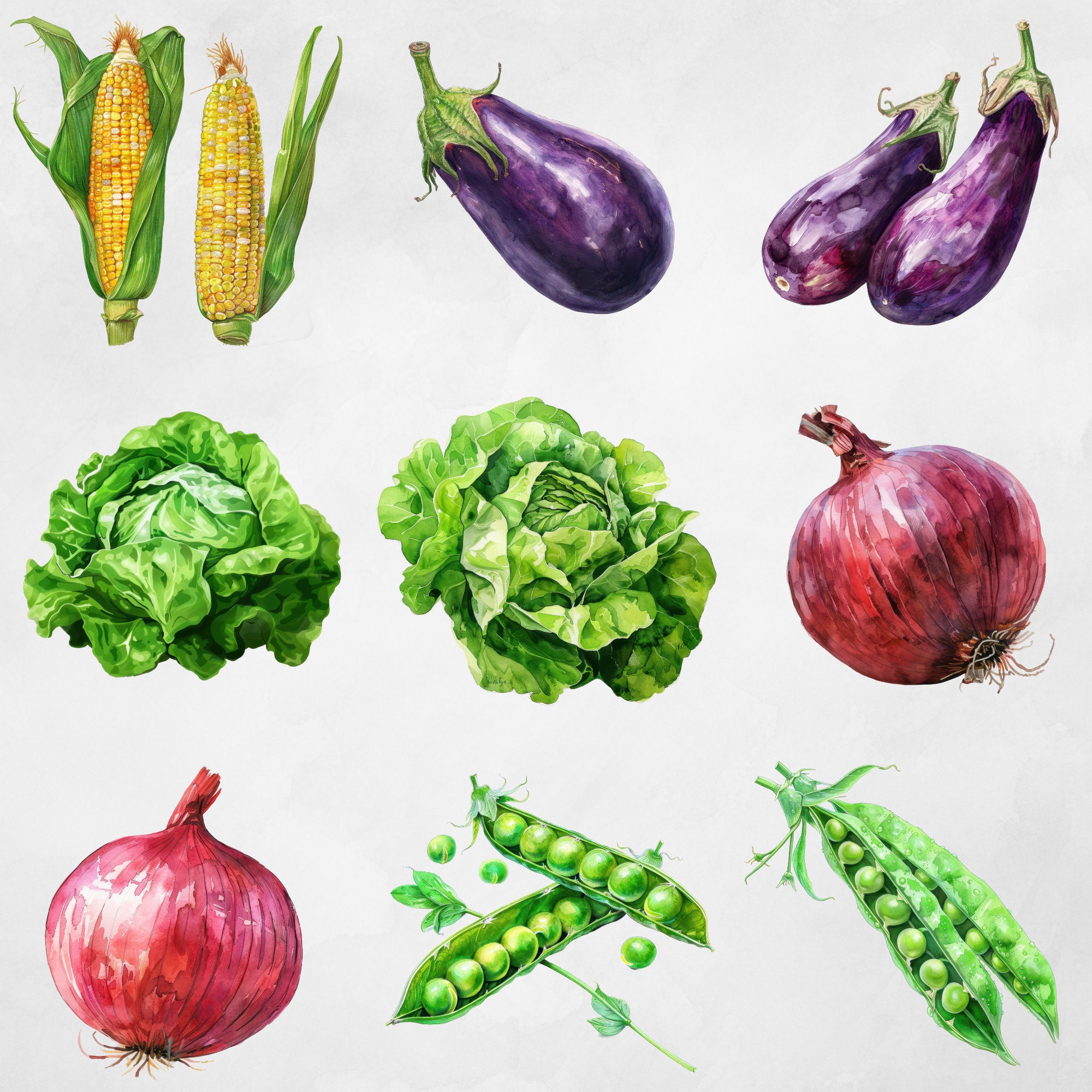 Watercolor Vegetables Clipart, Food Illustration, Healthy Food, Farm ...