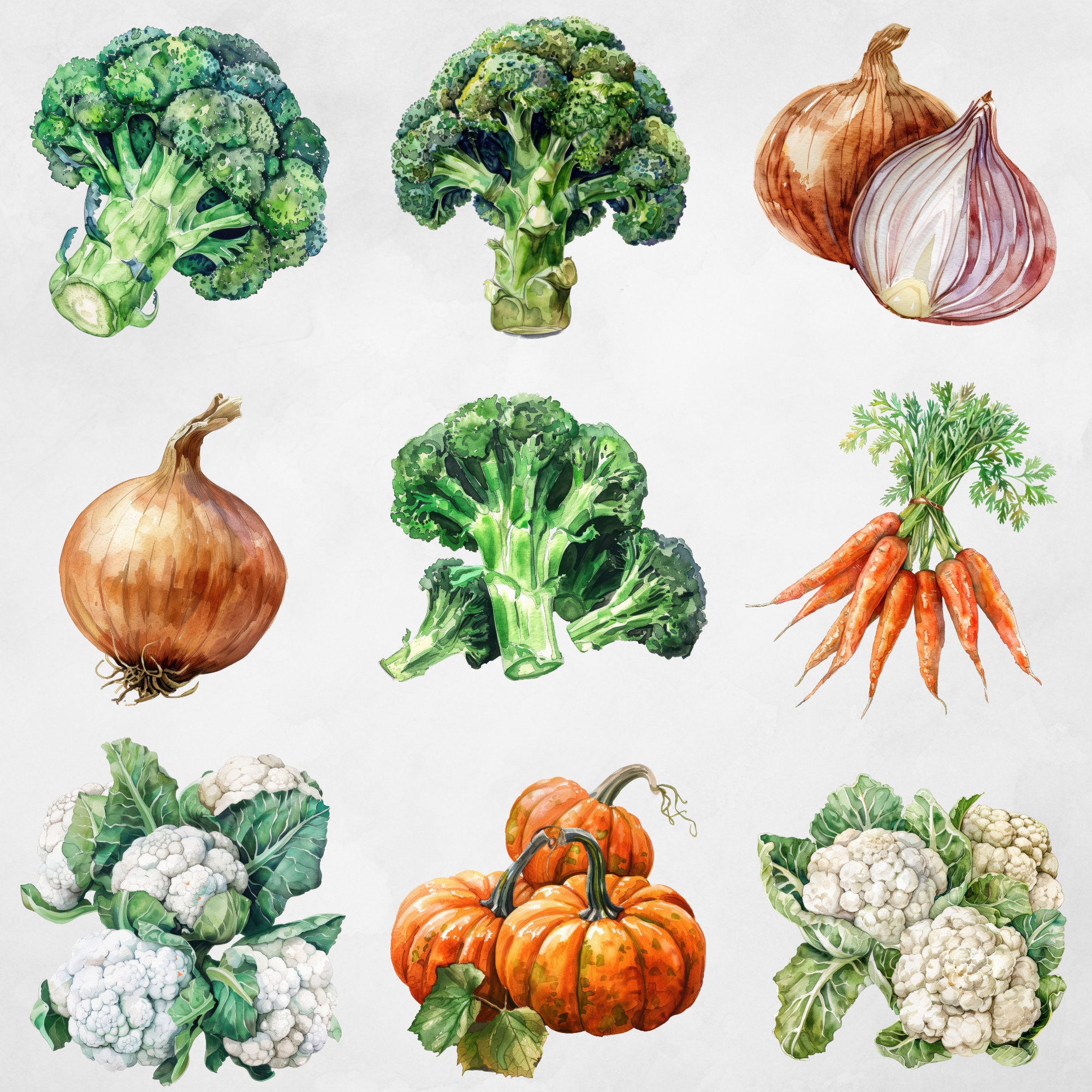Watercolor Vegetables Clipart, Food Illustration, Healthy Food, Farm ...