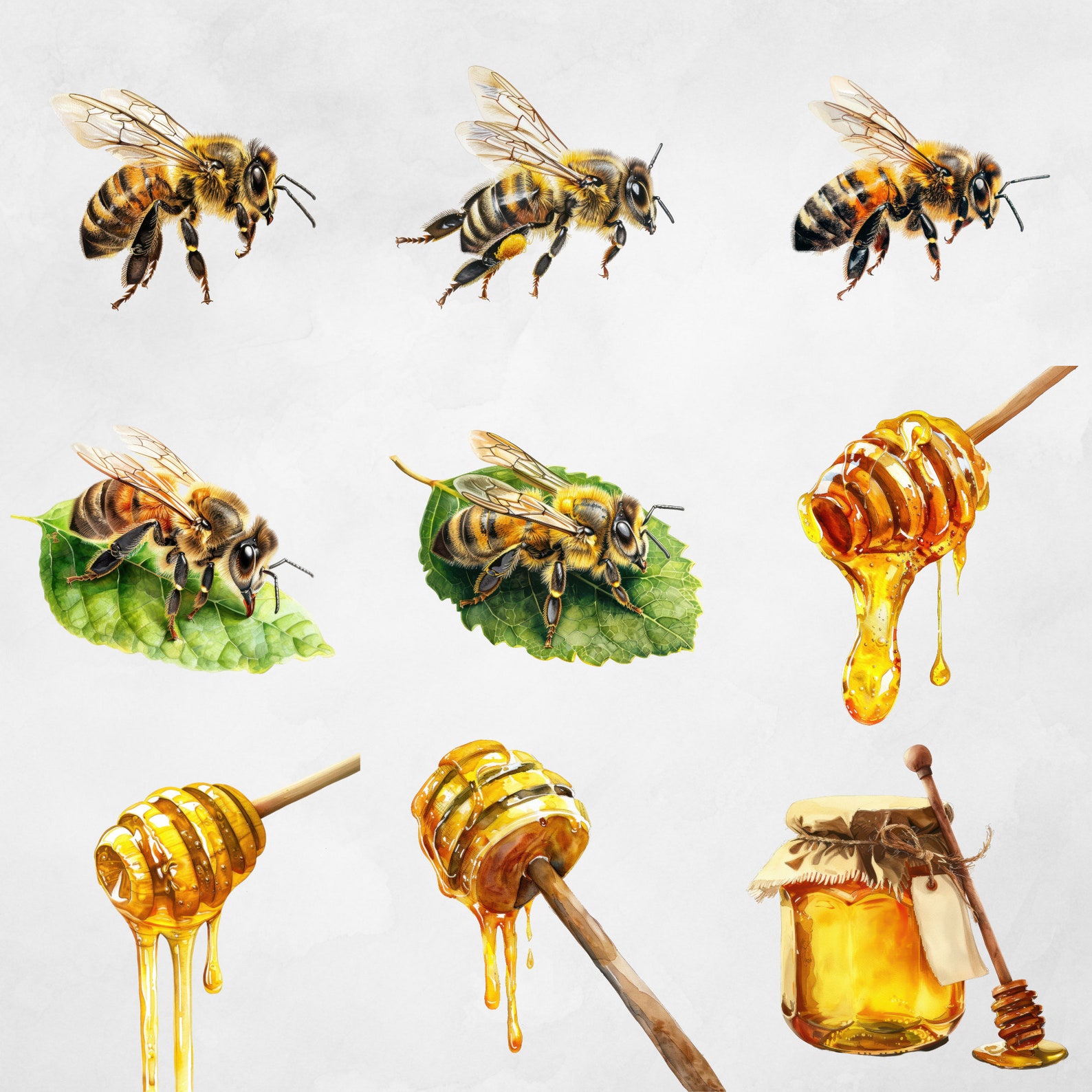 Watercolor Honey Bee Clipart, Spring Garden Bee, Bee Clipart, Bee ...