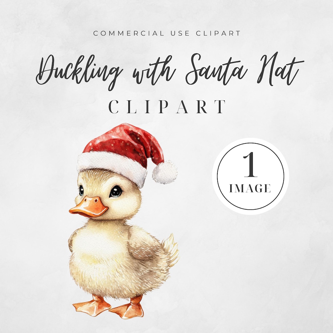 Watercolor Duck With Santa Hat Clipart, SINGLE IMAGE, Cute Christmas ...