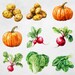 Watercolor Vegetables Clipart, Food Illustration, Healthy Food, Farm ...