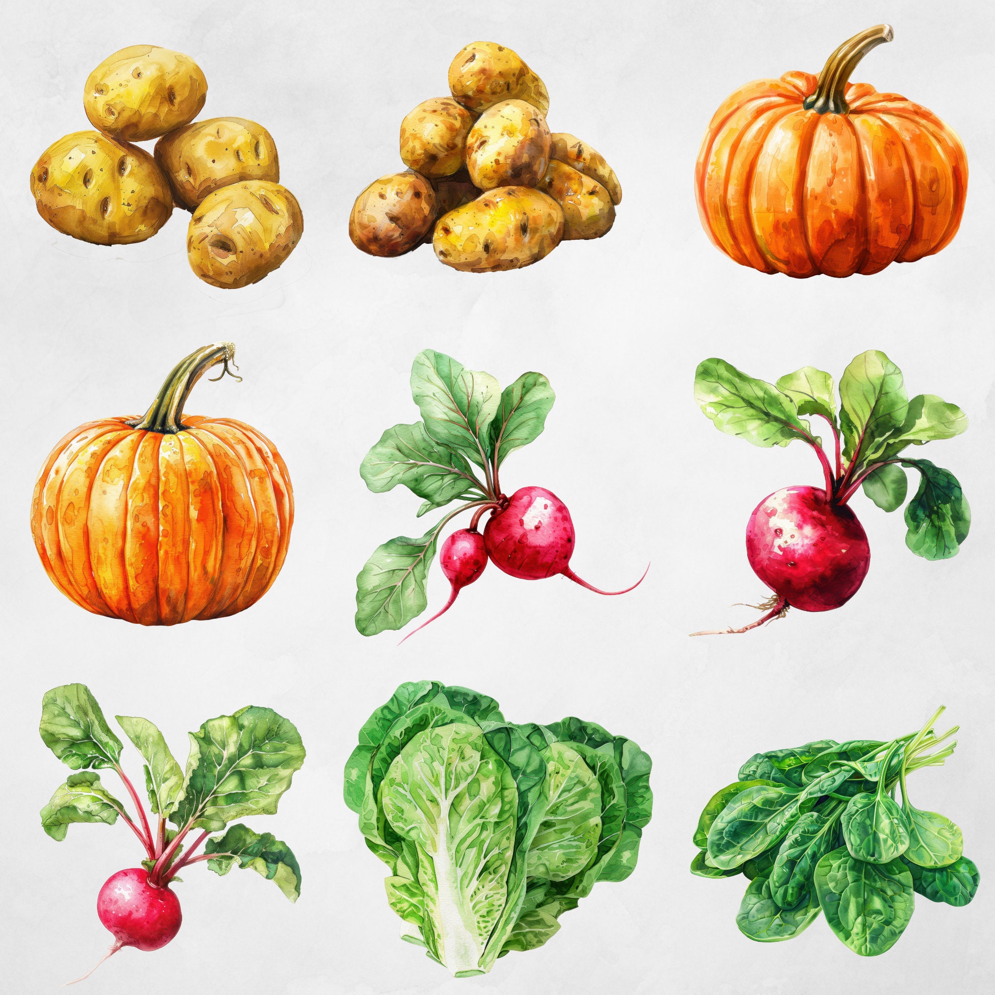 Watercolor Vegetables Clipart, Food Illustration, Healthy Food, Farm ...