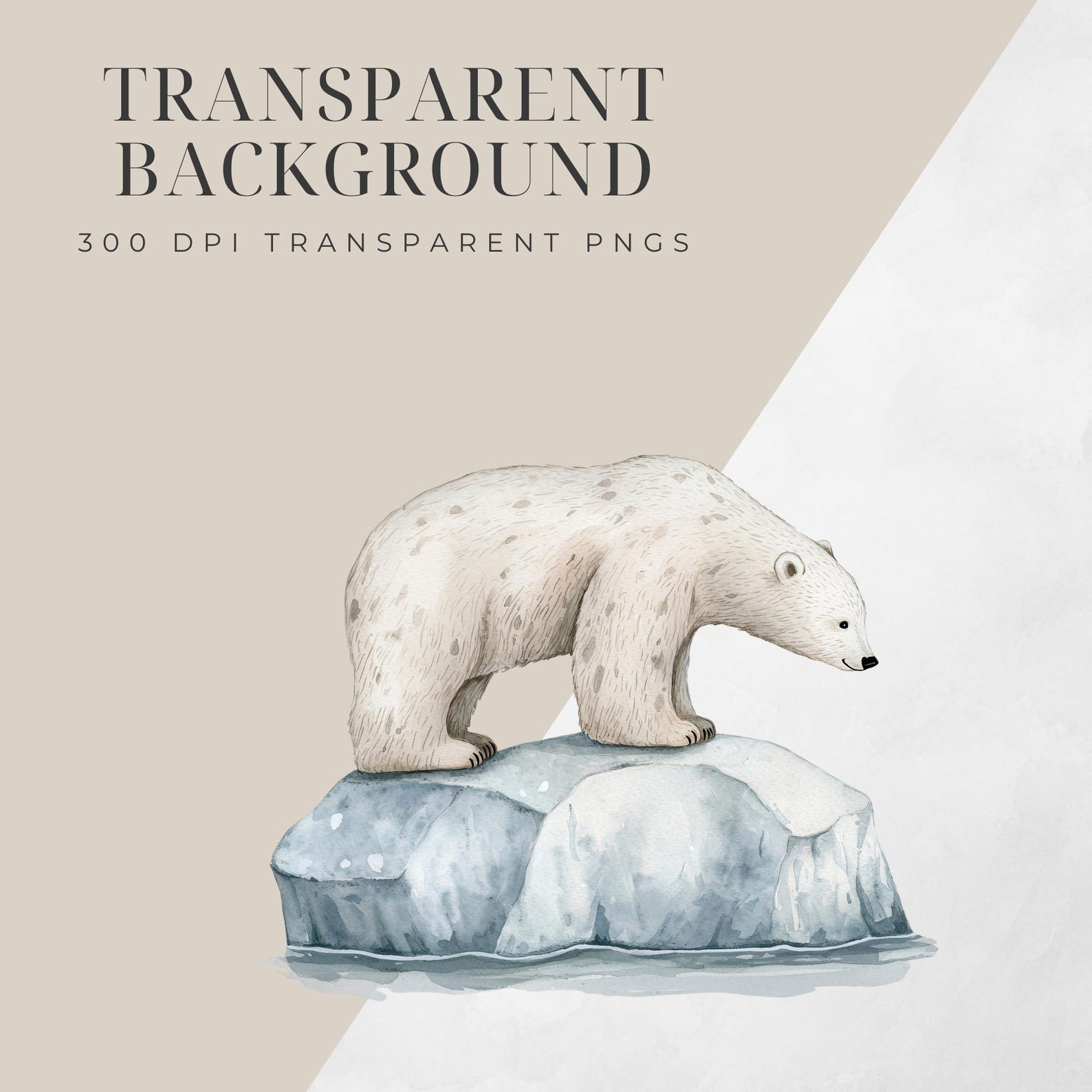 Watercolor Polar Bear Clipart, SINGLE IMAGE, Cute Polar Bear, Cute ...