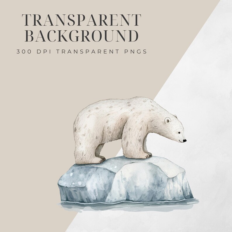 Watercolor Polar Bear Clipart, SINGLE IMAGE, Cute Polar Bear, Cute ...