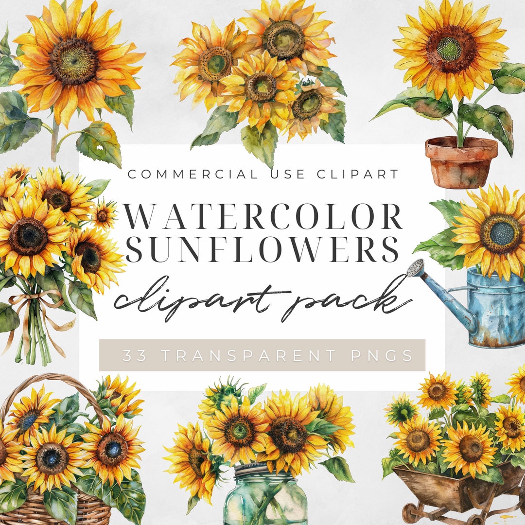 Watercolor Sunflowers Clipart, Fall Flowers, Fall Floral, Floral ...