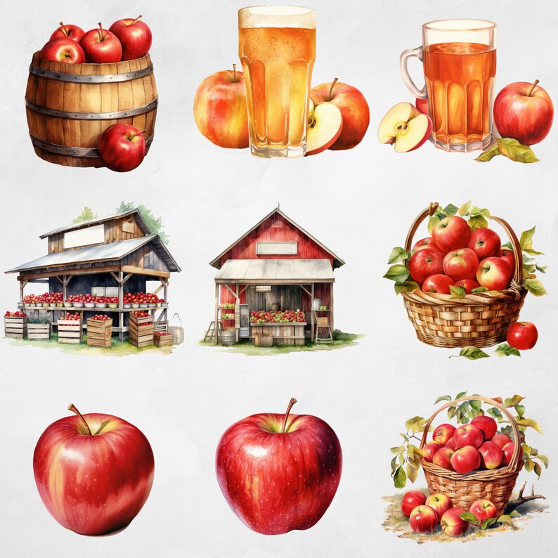 Watercolor Apple Orchard Clipart, Apples Clipart, Apple Picking, Apple ...