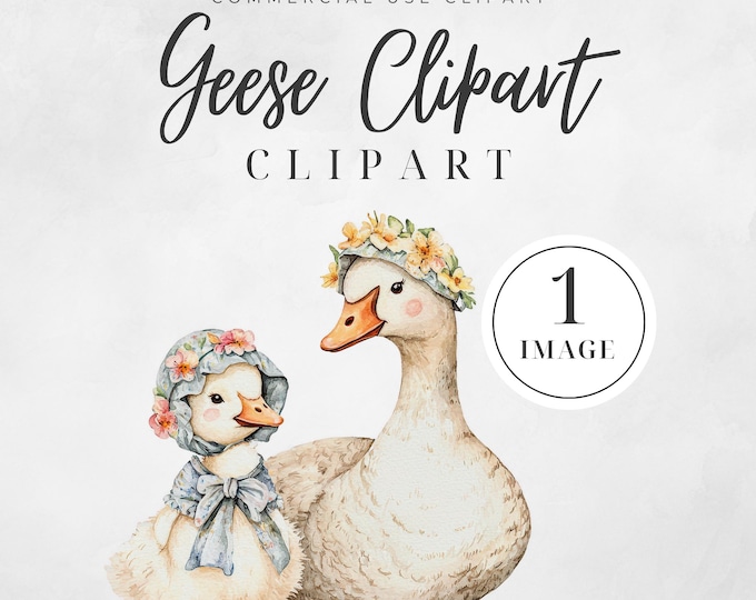 Goose Clipart: Cute Farm Animal PNG for Nursery and Country Decor ...
