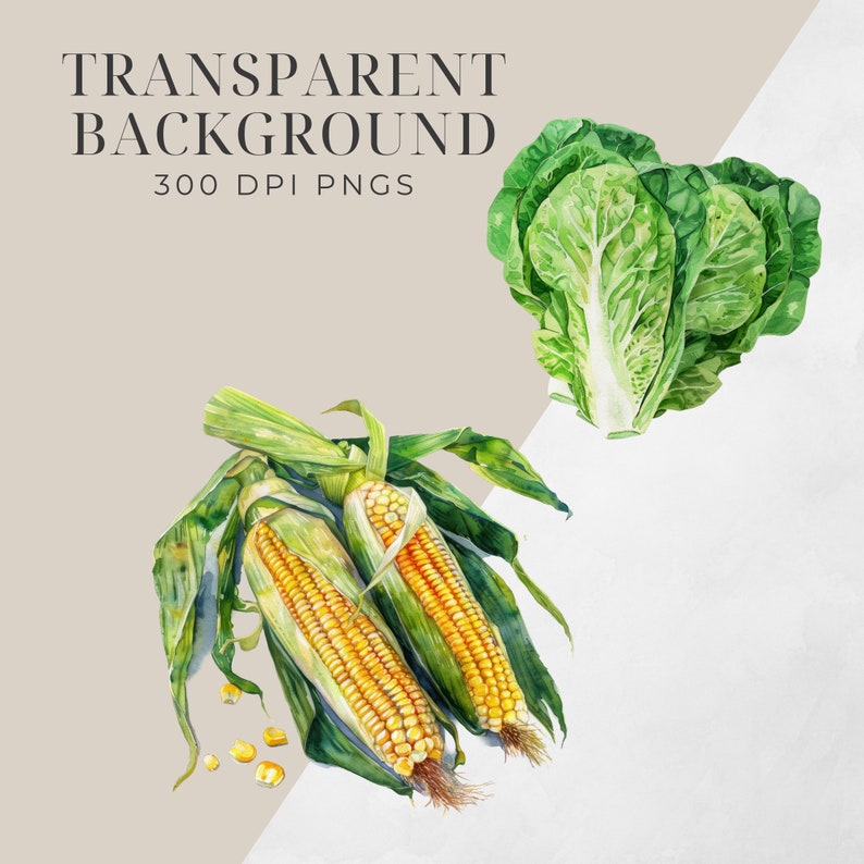 Watercolor Vegetables Clipart, Food Illustration, Healthy Food, Farm ...