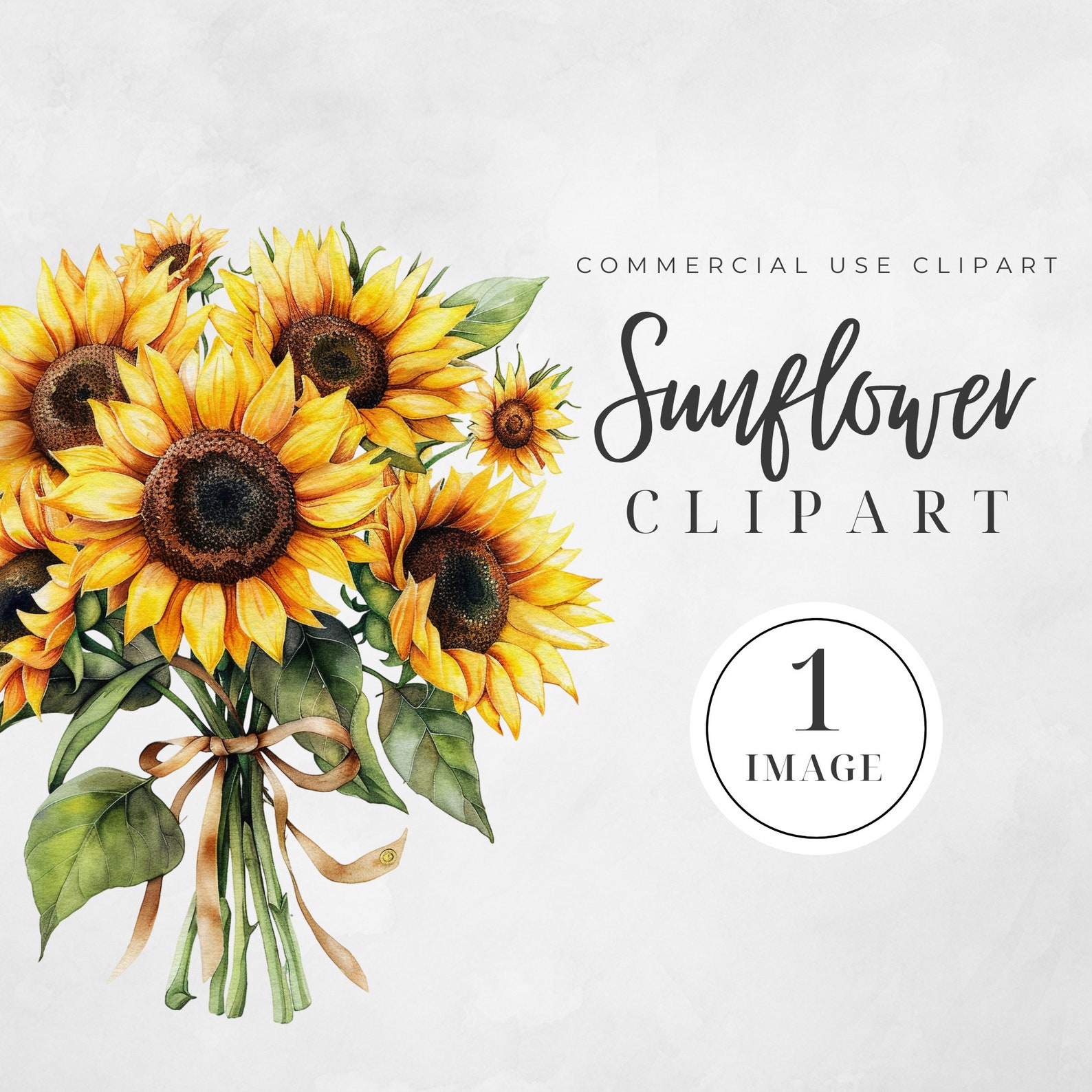 Watercolor Sunflowers Clipart, SINGLE IMAGE, Fall Flowers, Floral ...