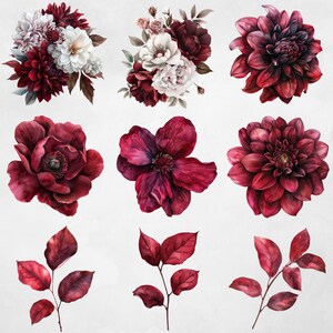 Watercolor Burgundy and White Floral Clipart, Frame & Bouquet Clipart ...