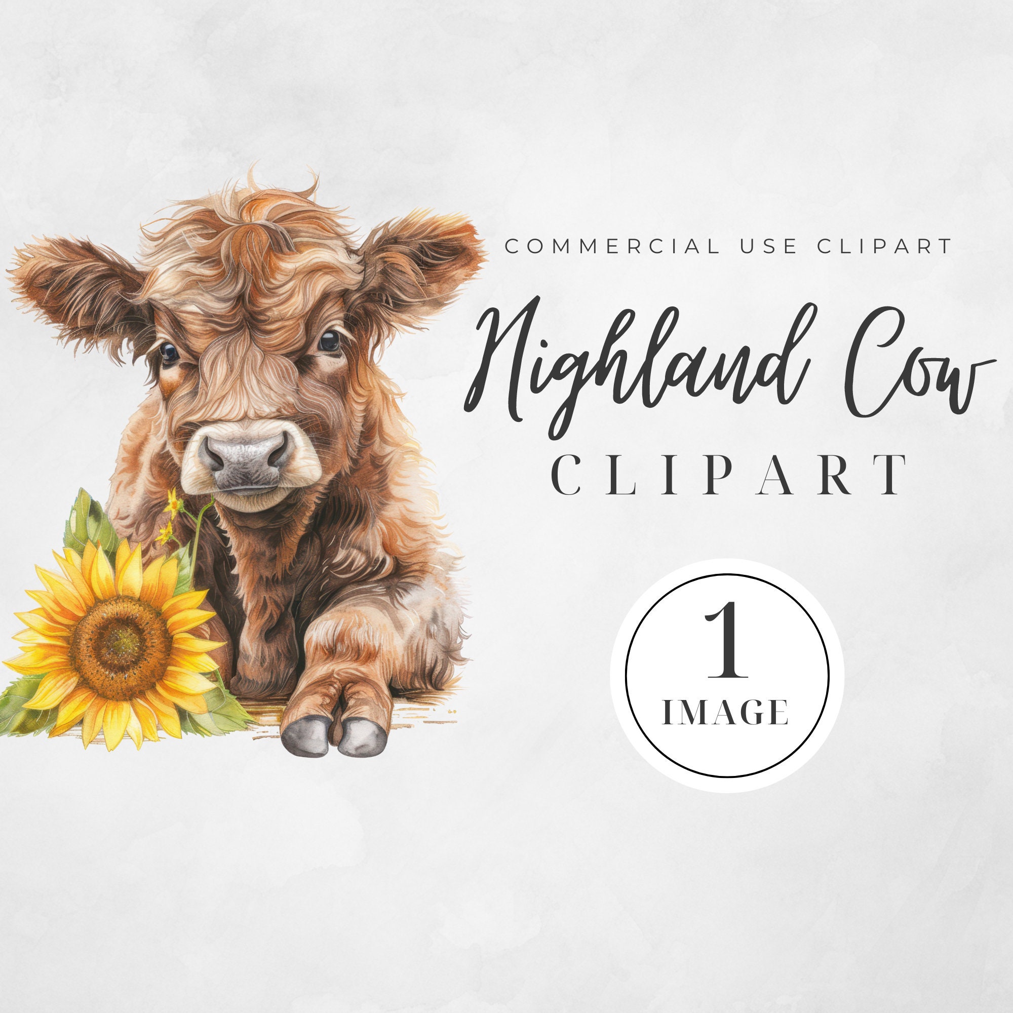 Watercolor Sunflower Highland Cow Clipart, SINGLE IMAGE, Baby Cow ...