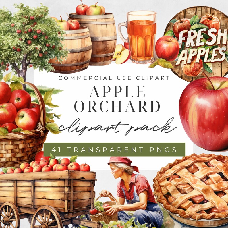 Watercolor Apple Orchard Clipart, Apples Clipart, Apple Picking, Apple ...